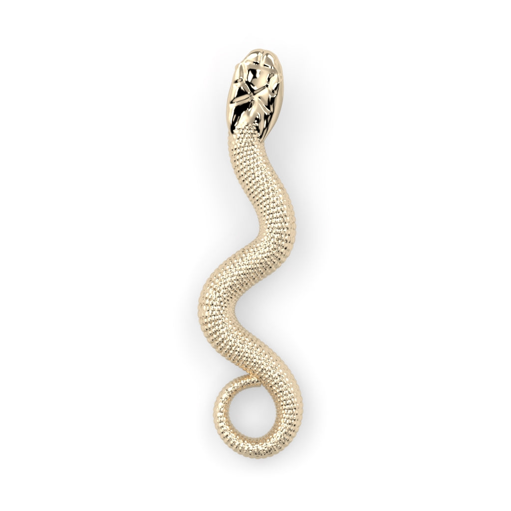 Manasa Snake End